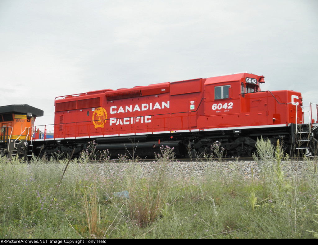 Shiny Paint On A Golden Oldie